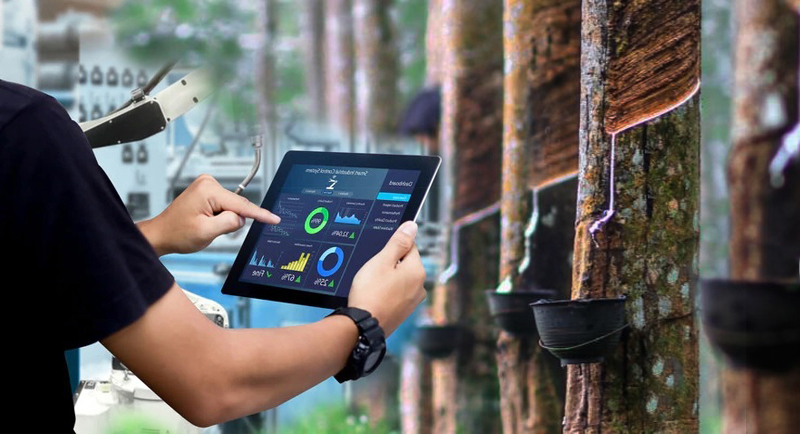 Dialog Enterprise with Rubber Research Institute Introduce IoT Solutions